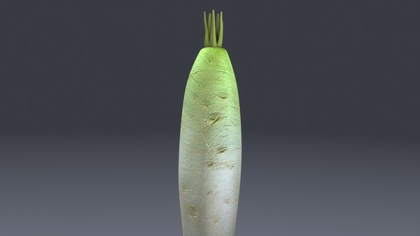 radish 3d model