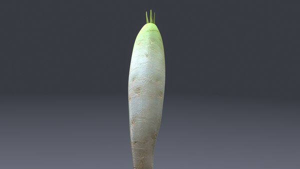 radish 3d model