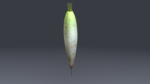 radish 3d model