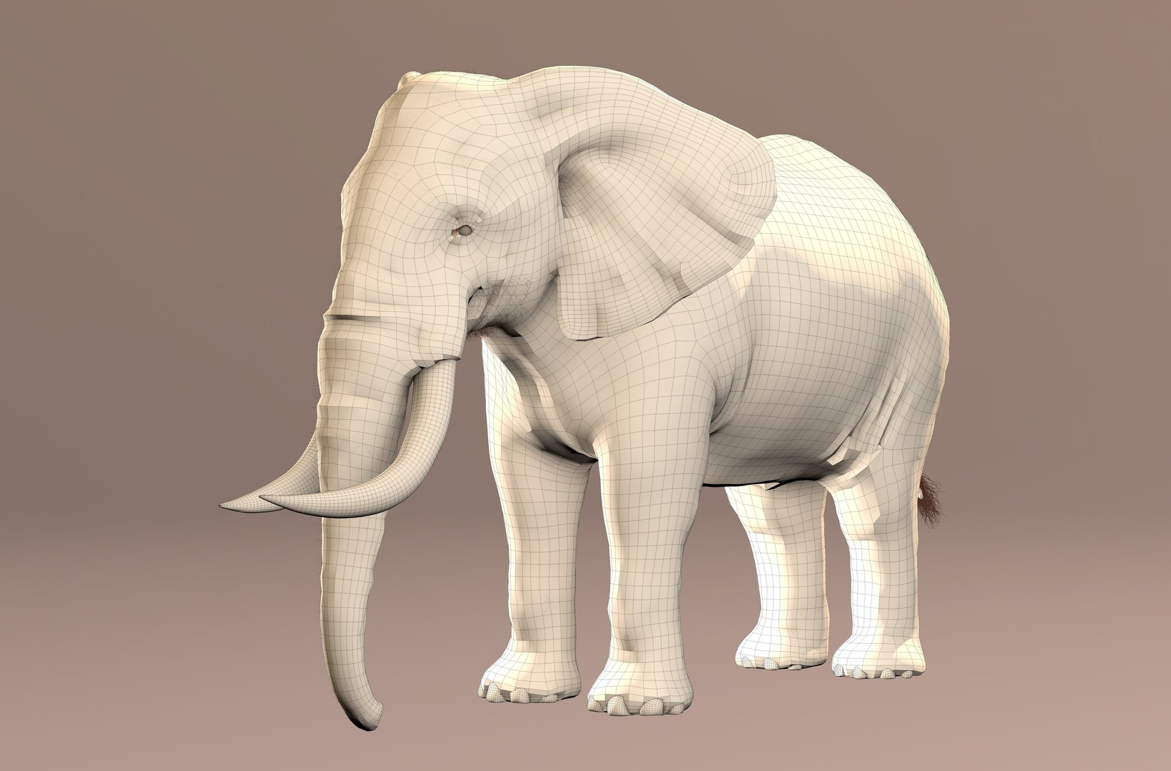 3D Elephant Realistic Model - TurboSquid 1472574