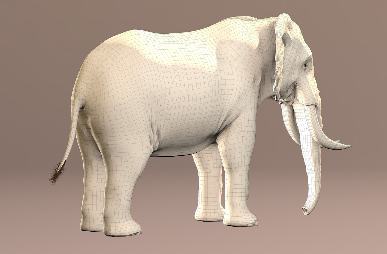 3D Elephant Realistic Model - TurboSquid 1472574