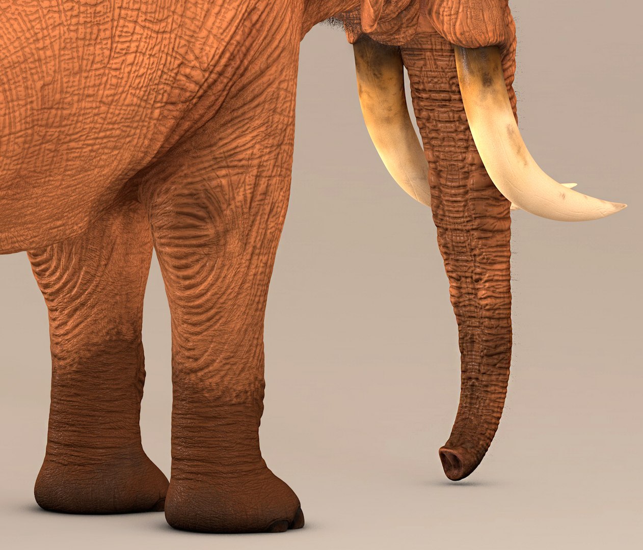 3D Elephant Realistic Model - TurboSquid 1472574