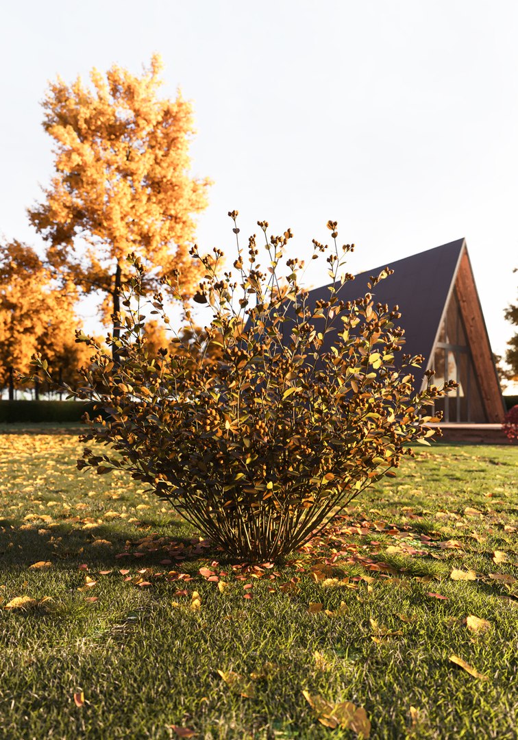 3D Model Gingko Scenes - TurboSquid 1886544