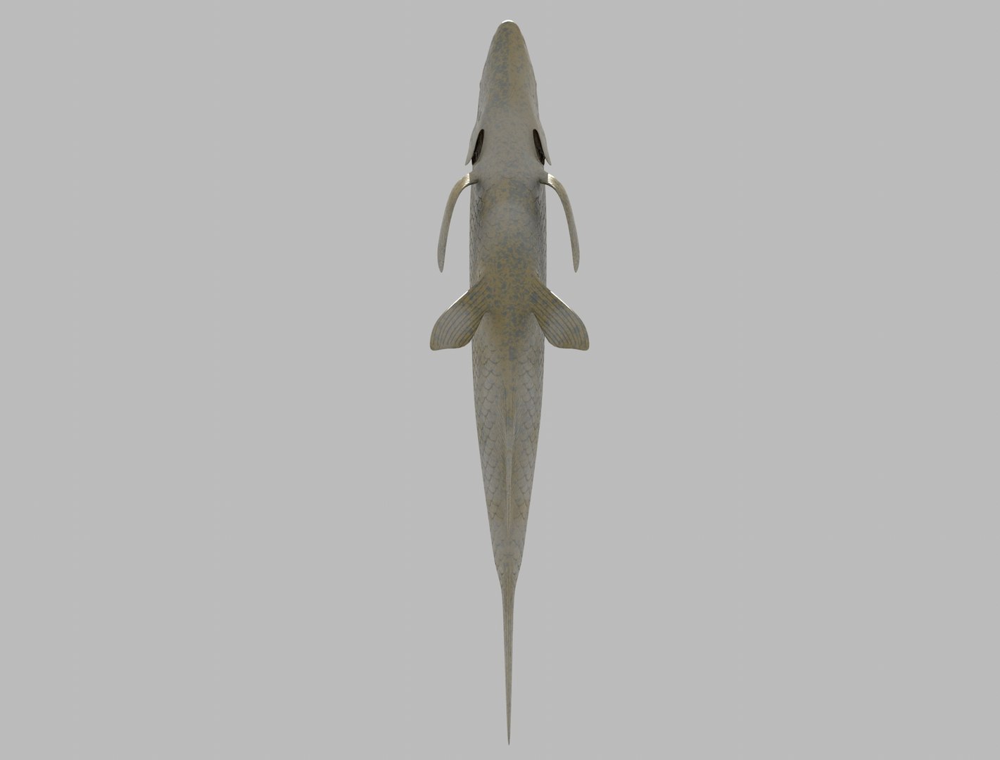 3D fish rigged model - TurboSquid 1441963