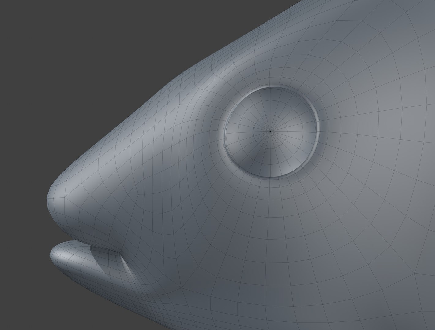 3D Fish Rigged Model - TurboSquid 1441963