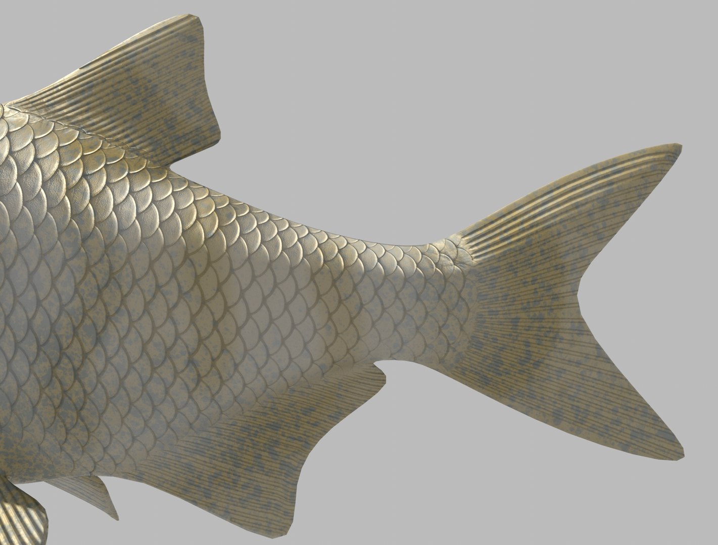 3D Fish Rigged Model - TurboSquid 1441963