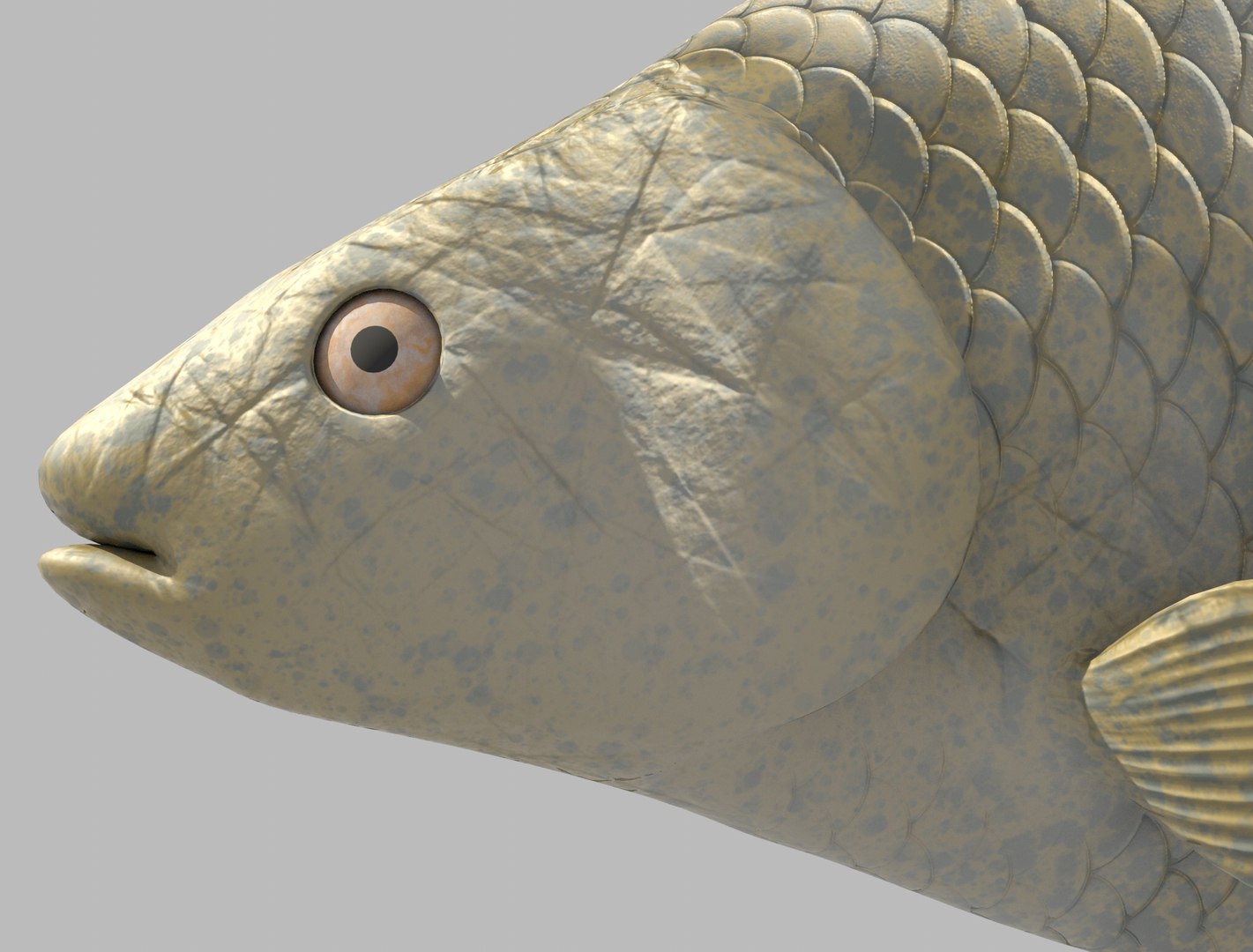 3D Fish Rigged Model - TurboSquid 1441963