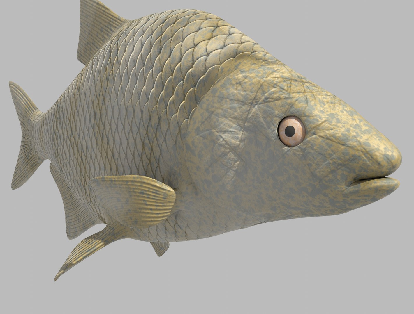 3D fish rigged model - TurboSquid 1441963