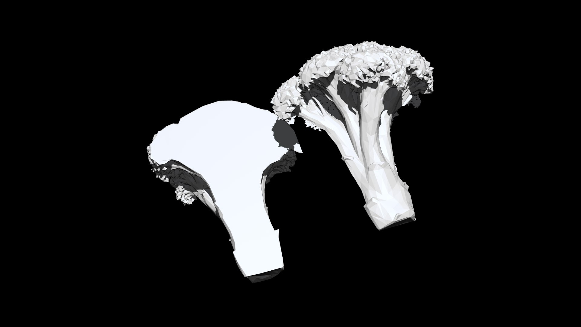Broccoli Cut 3D CT Scan Model 3 Decimate 3percent 3D Model - TurboSquid ...