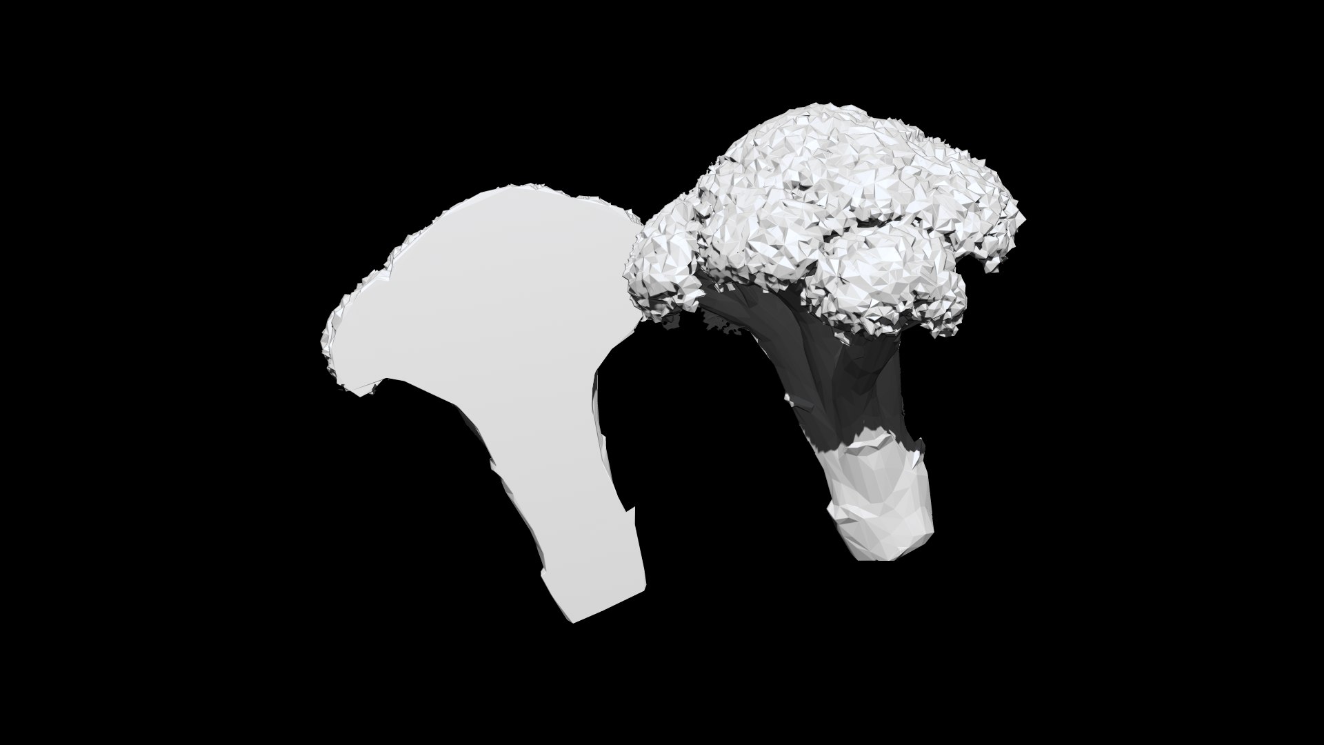 Broccoli Cut 3D CT Scan Model 3 Decimate 3percent 3D Model - TurboSquid ...