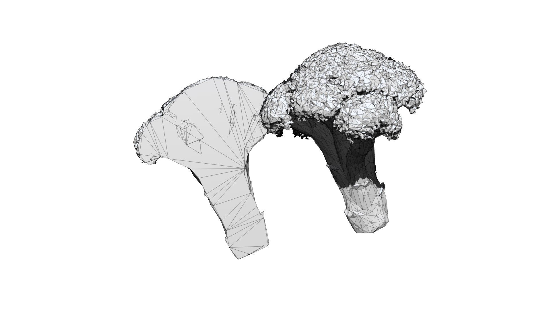 Broccoli Cut 3D CT Scan Model 3 Decimate 3percent 3D Model - TurboSquid ...