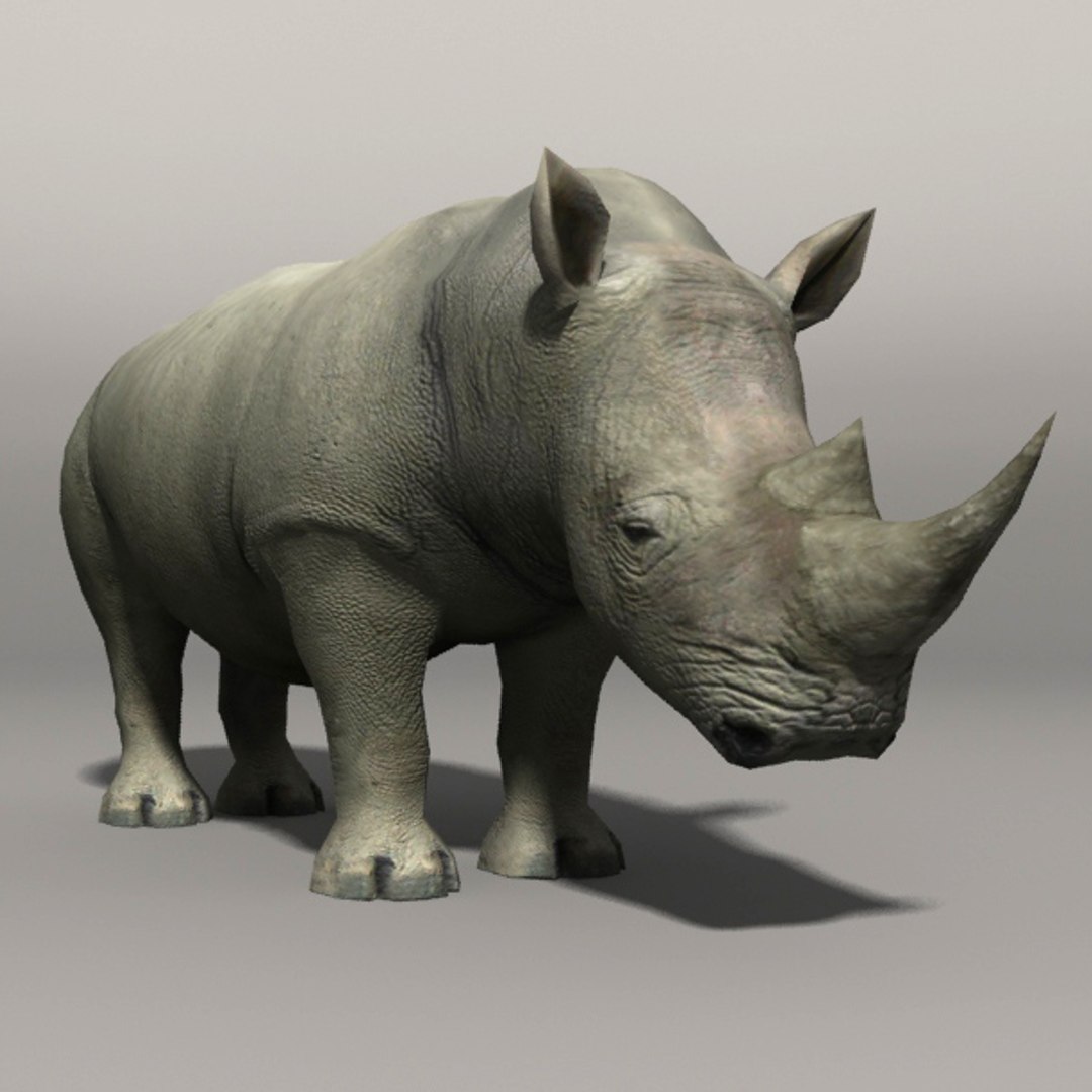Max Rhino