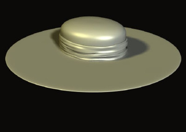 hat 3d model