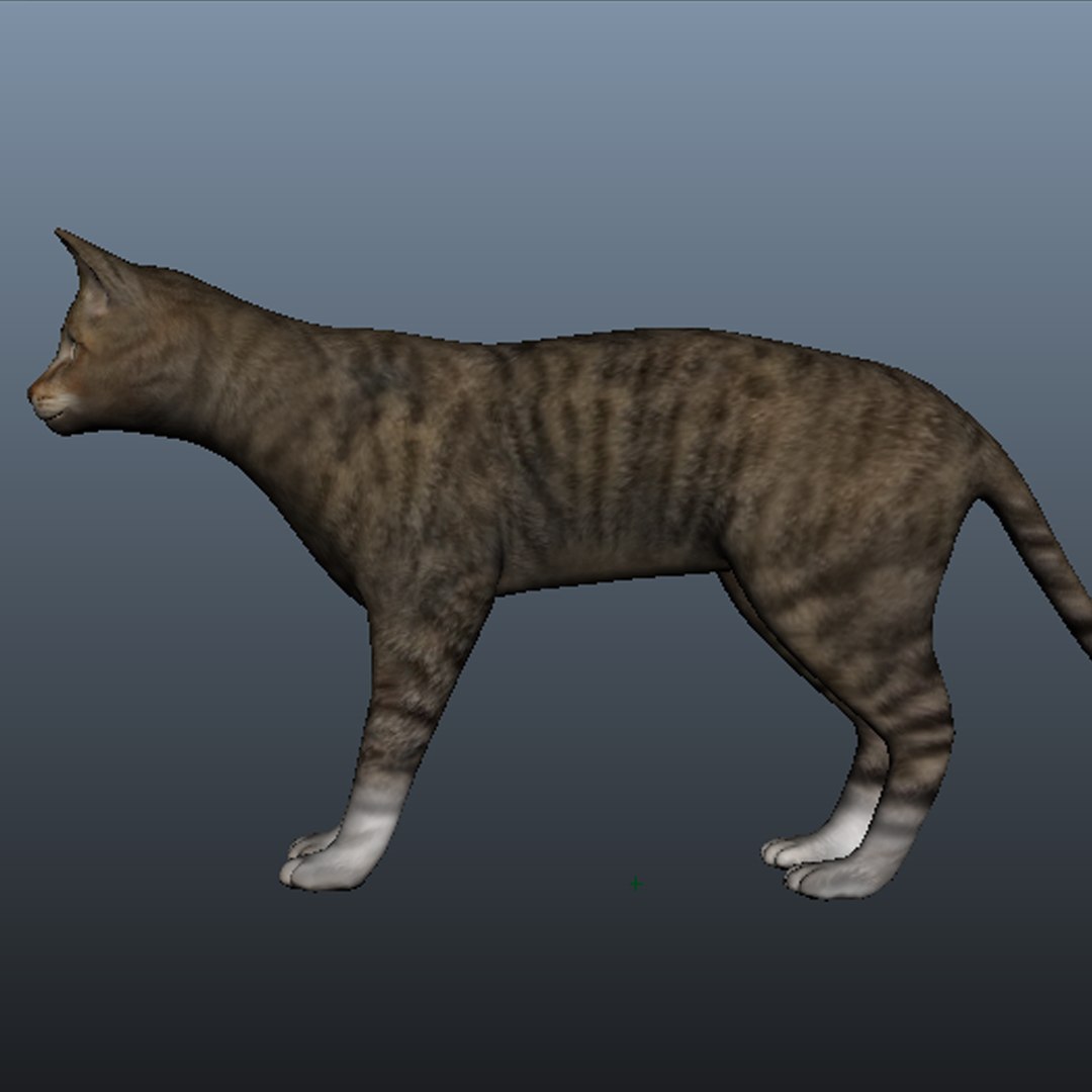 3D Cat - TurboSquid 1353041