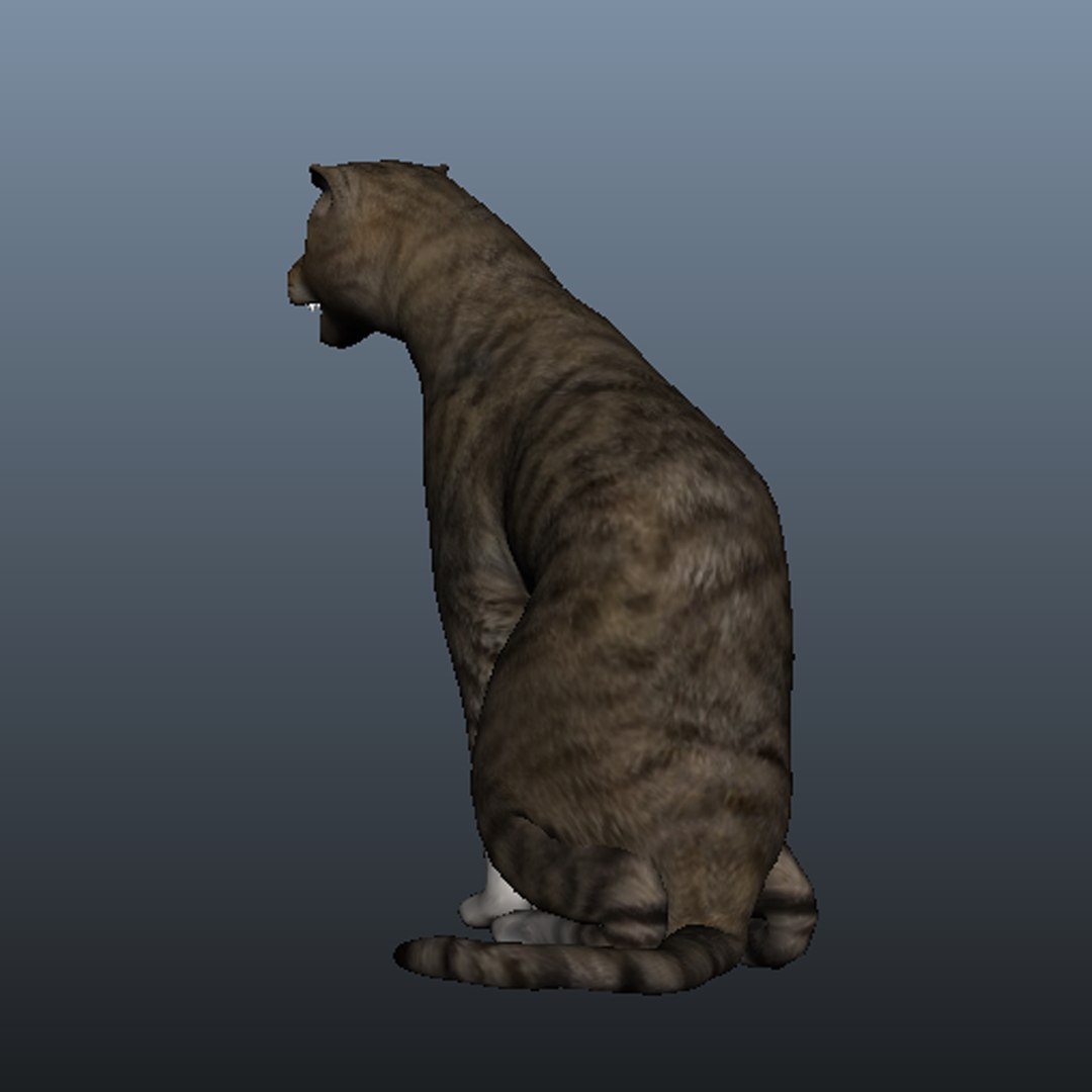 3D Cat - TurboSquid 1353041