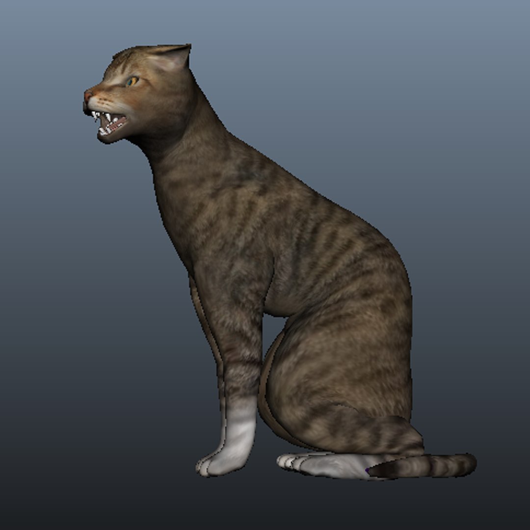 3D Cat - TurboSquid 1353041