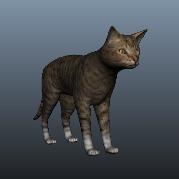 modelo 3d Gato gratis - TurboSquid 1353041