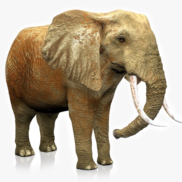아프리카 코끼리 조작 L2372 3D 모델 - TurboSquid 2395022