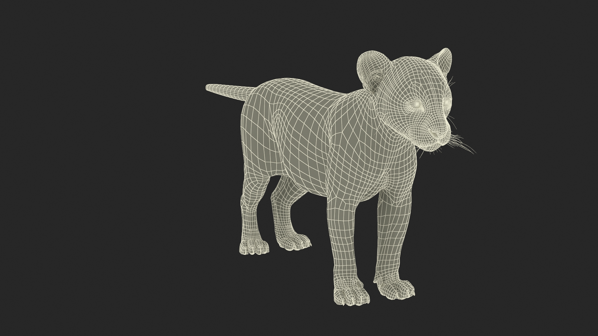3D Model Black Leopard Cub Standing Pose - TurboSquid 2342377
