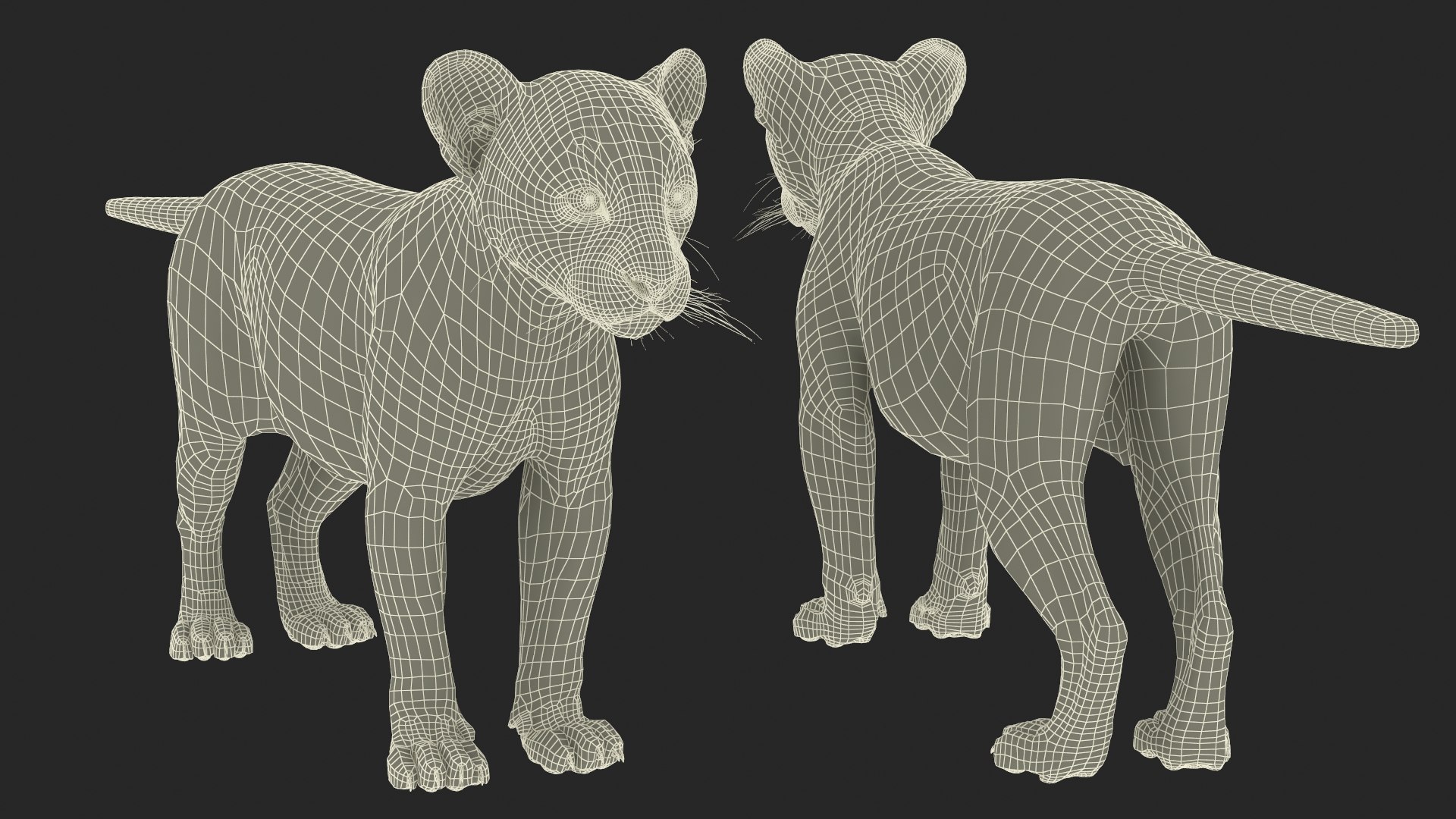3D Model Black Leopard Cub Standing Pose - TurboSquid 2342377