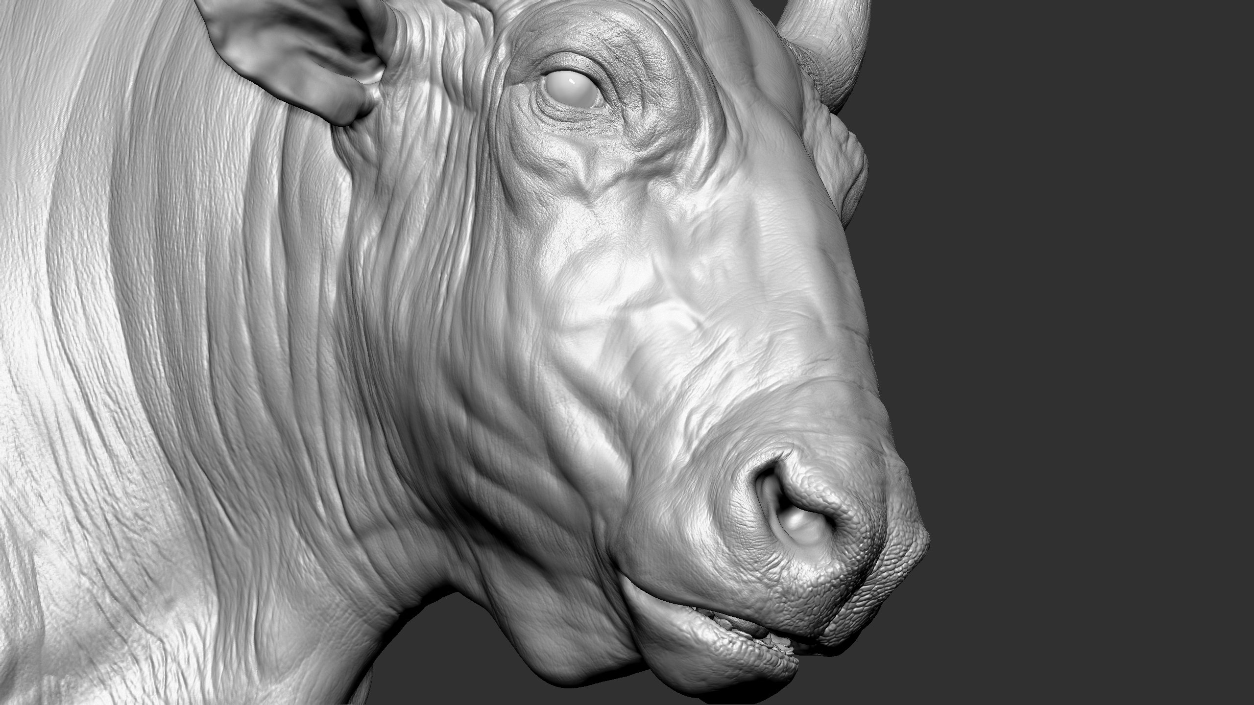 modelo 3d Bizon Bison bison Most VFX Zbrush Sculpture Digitale - TurboSquid 1796701