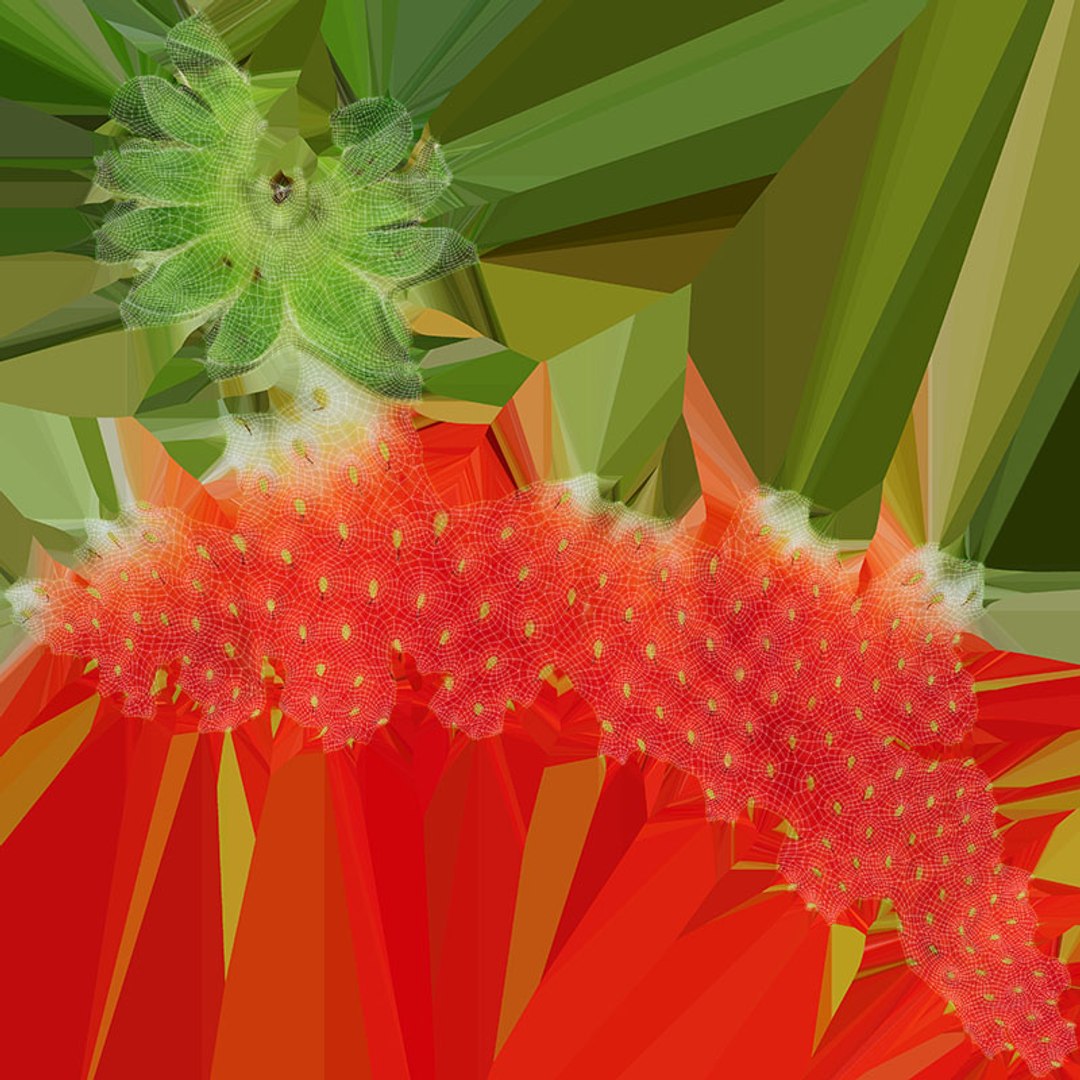 3D Whole Strawberry Collection Model - TurboSquid 2240106