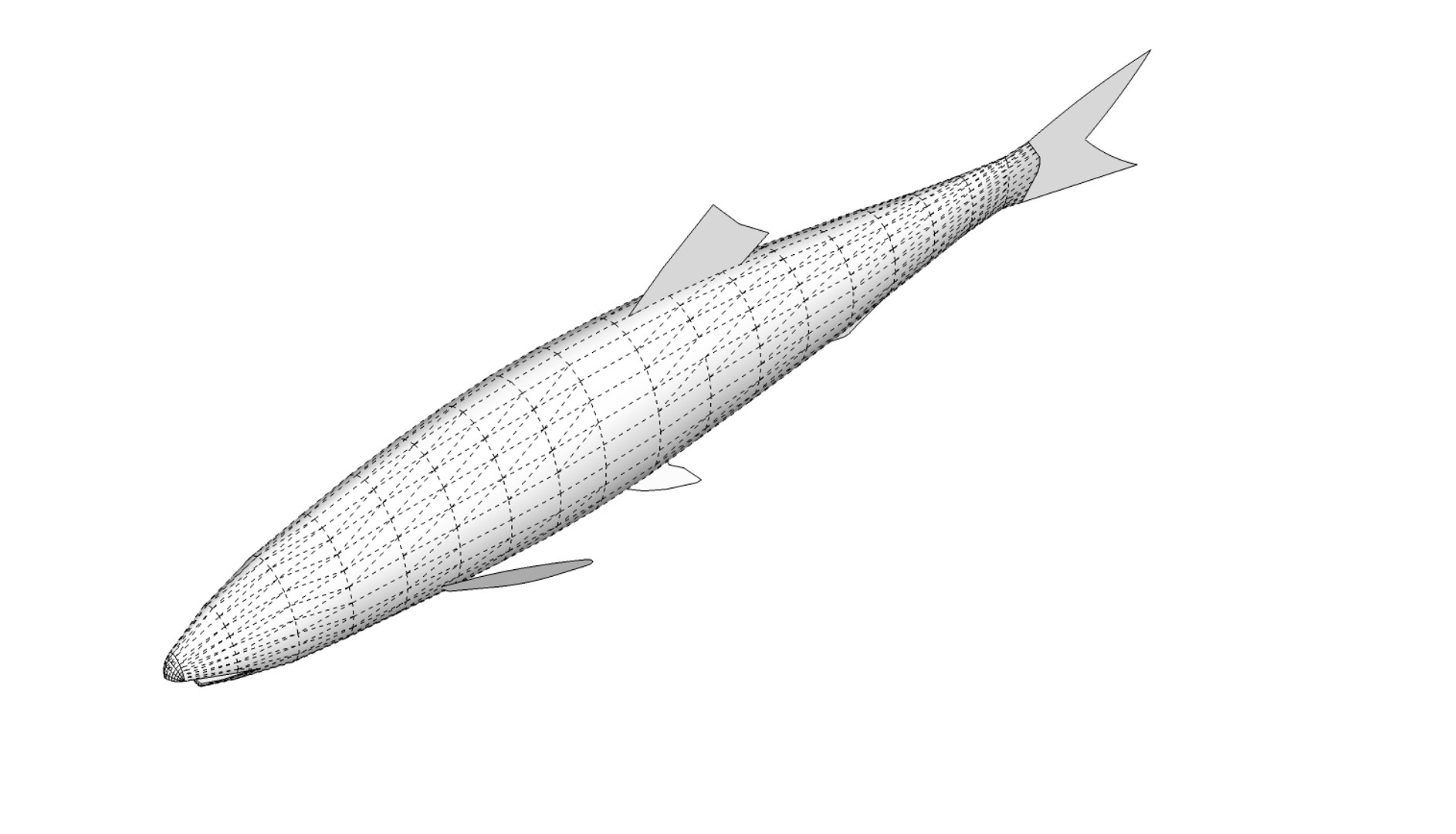 3D Fish Anchovy Model - TurboSquid 1387407