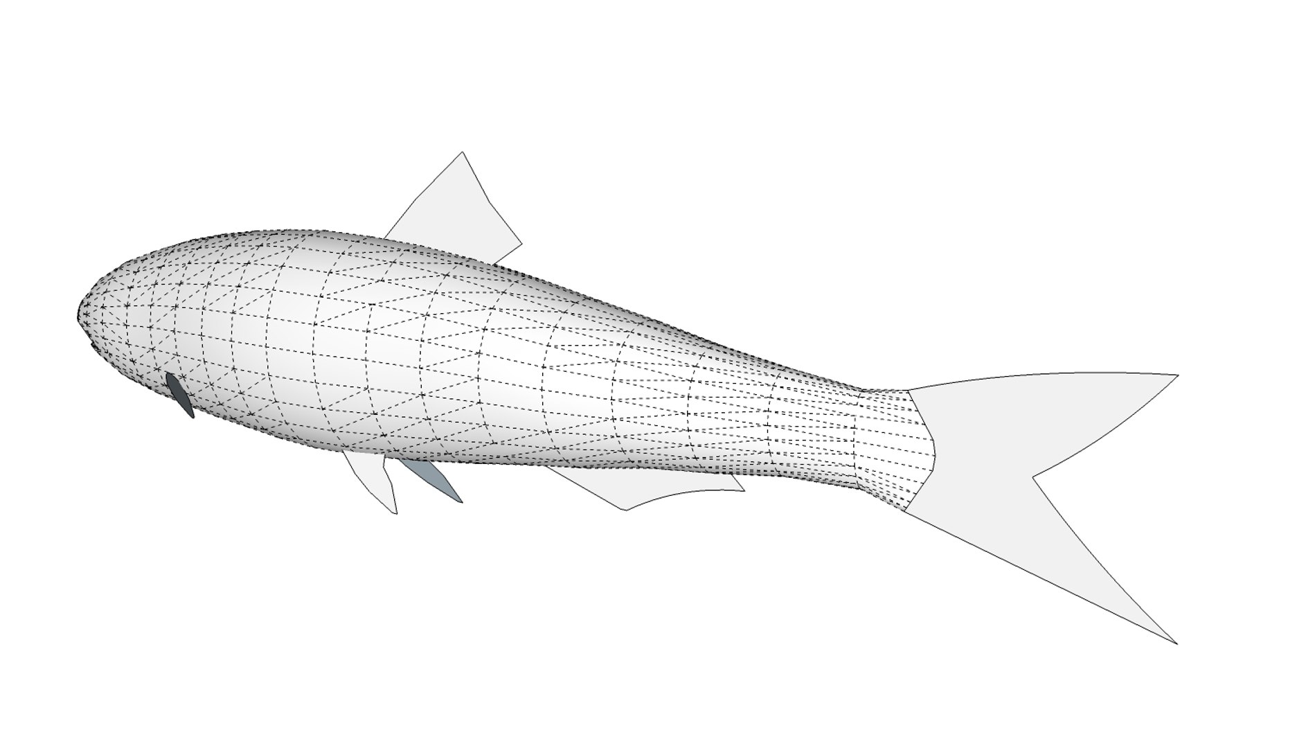 3D Fish Anchovy Model - TurboSquid 1387407