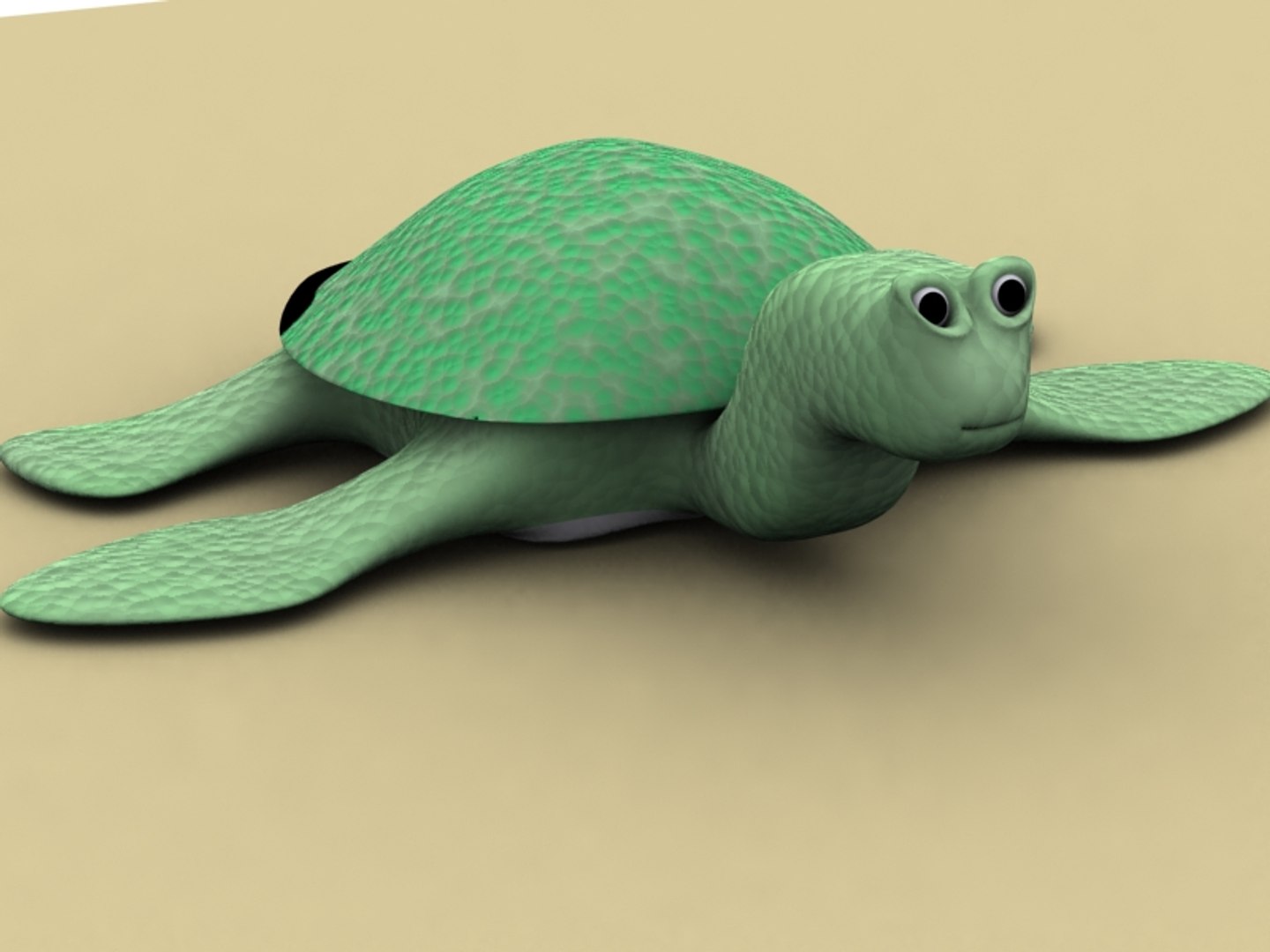 Max Turtle