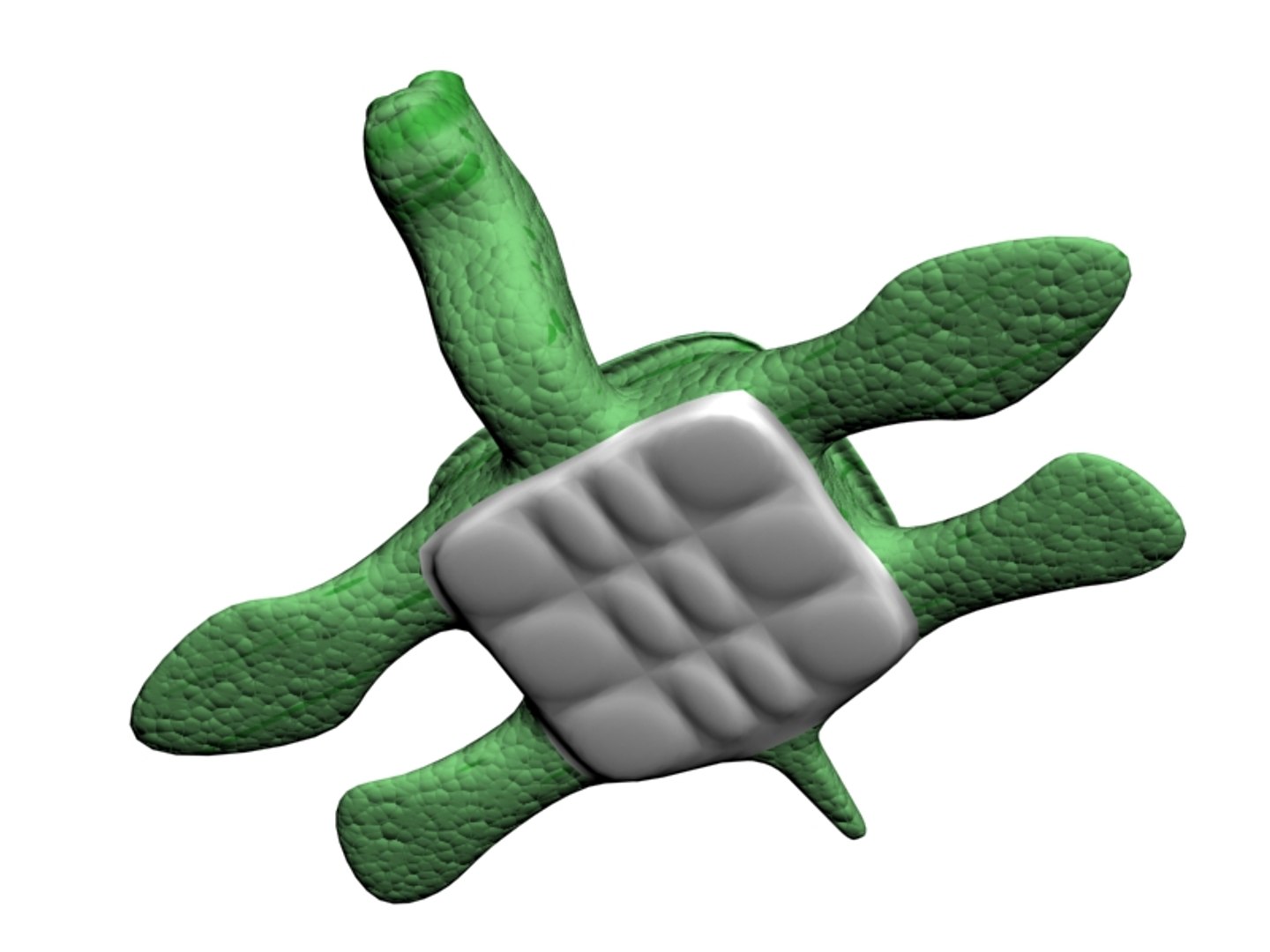 Max Turtle