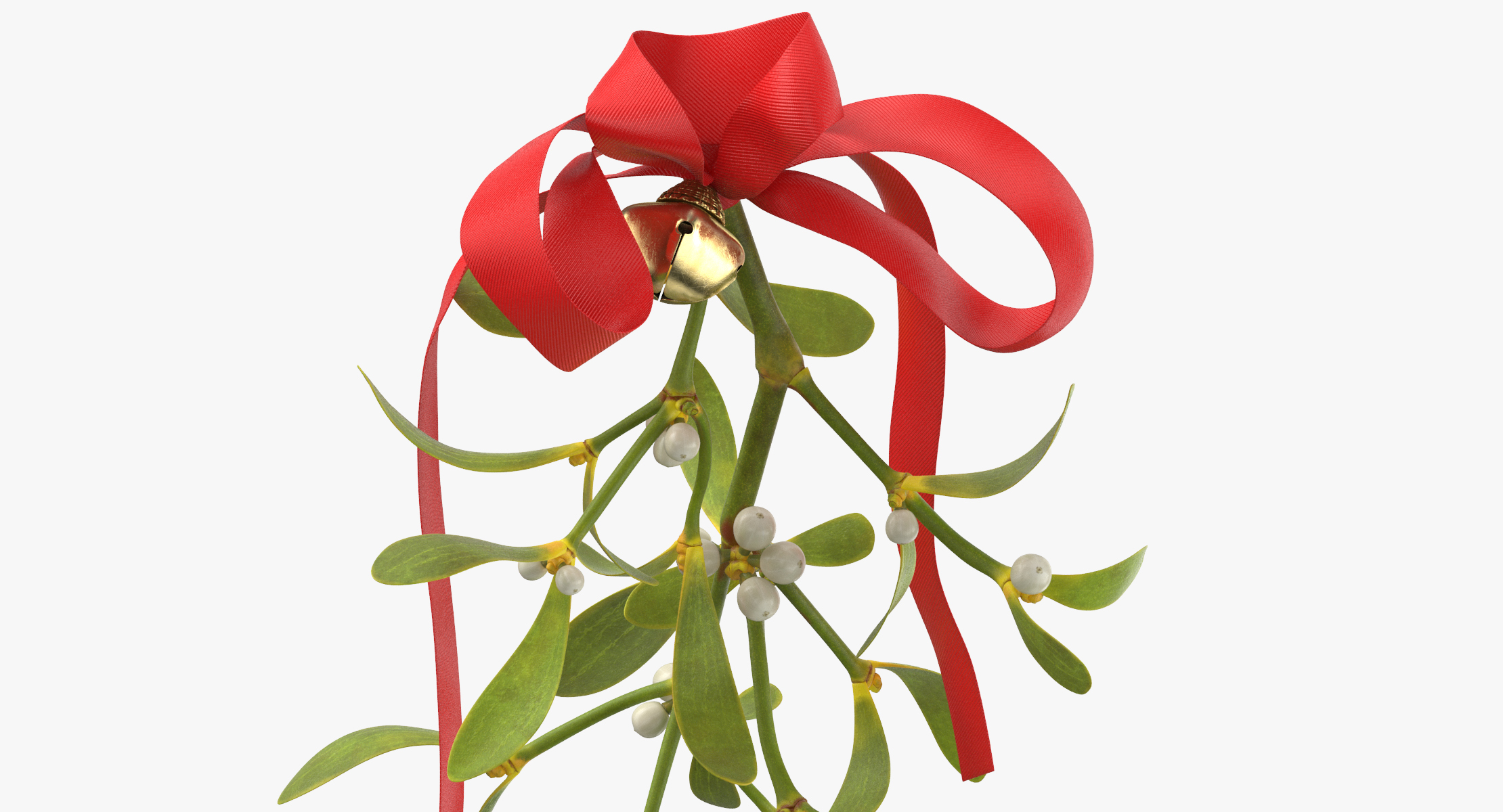 ma mistletoe ribbon
