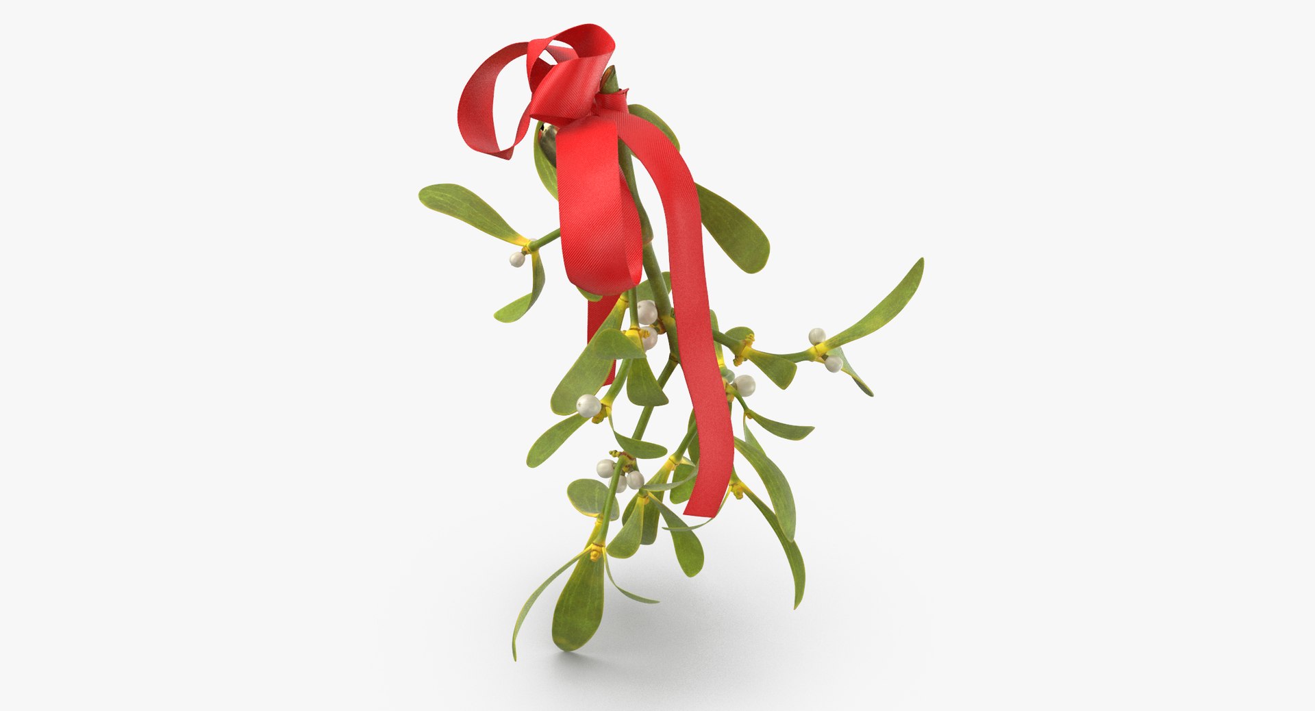 Ma Mistletoe Ribbon