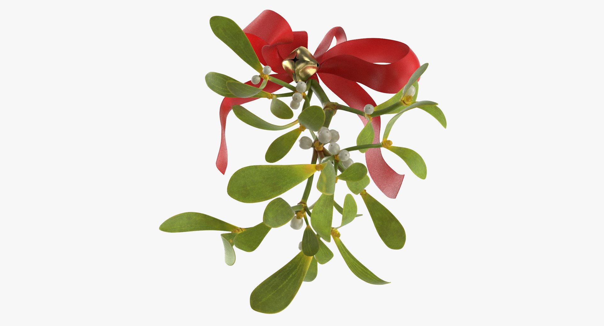 Ma Mistletoe Ribbon