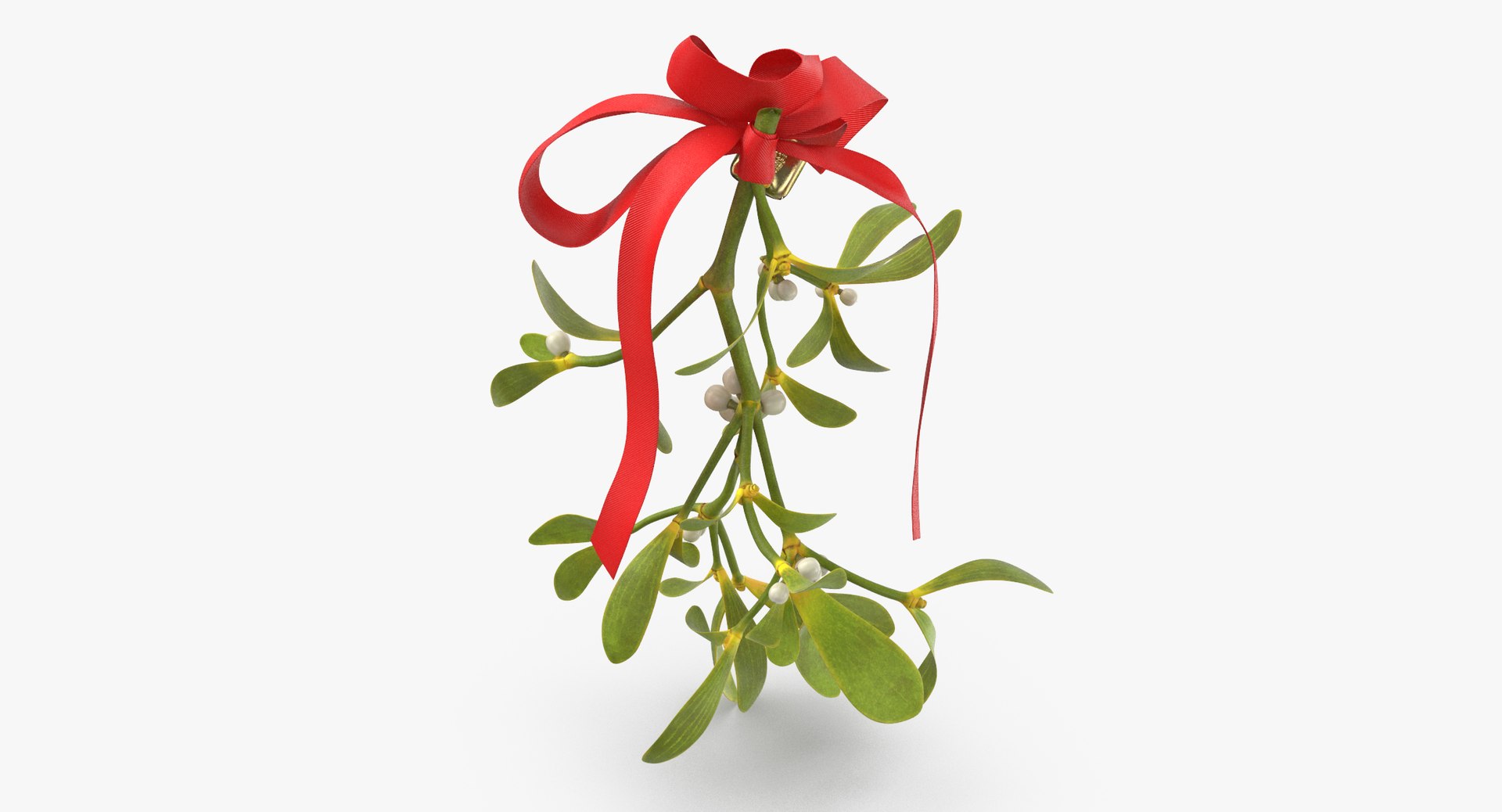 Ma Mistletoe Ribbon