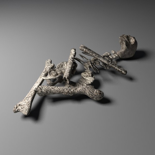 old skeleton 3d obj