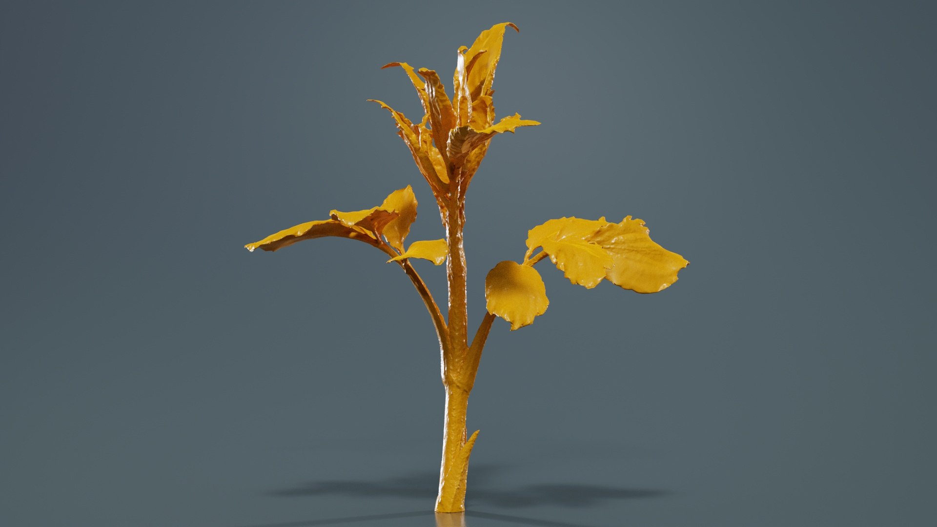 3D Aegopodium Podagraria Ground Elder Apiaceae Sprout Remastered Model ...