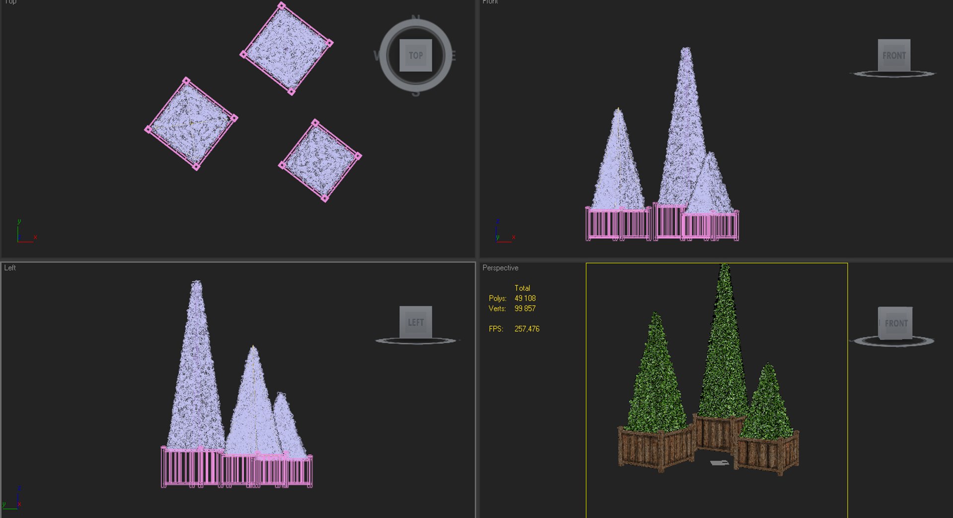 3d Pyramidal Boxwood Shrubs