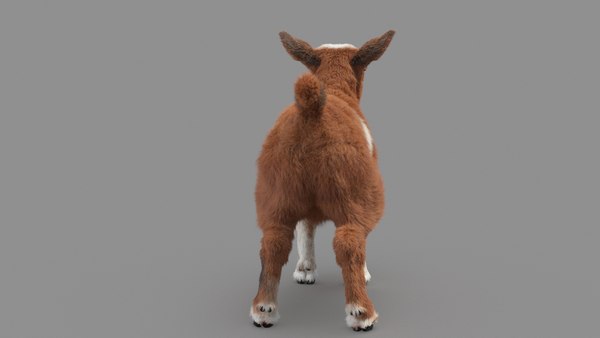 Red Baby Goat model - TurboSquid 1812567