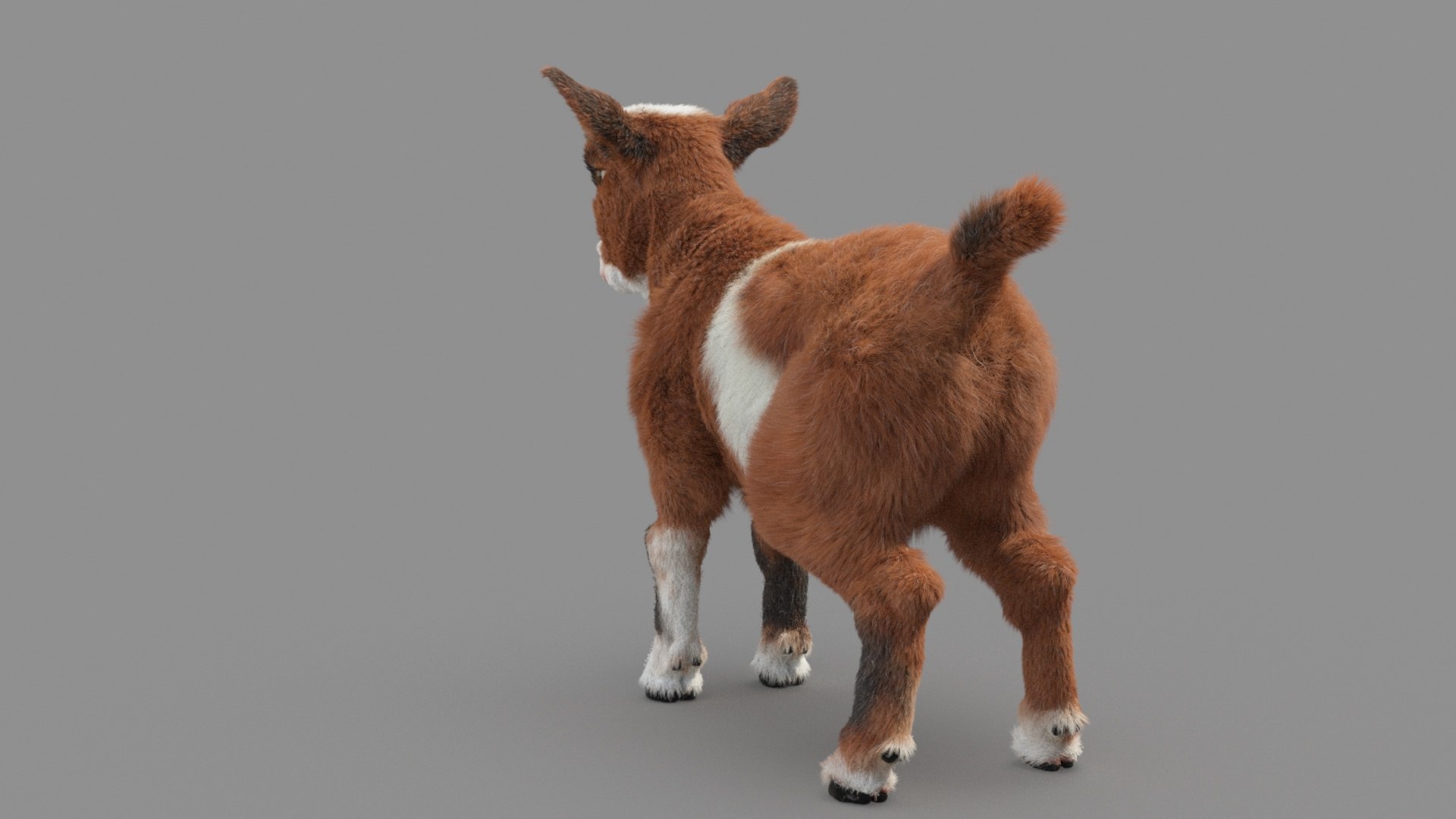 Red Baby Goat model - TurboSquid 1812567