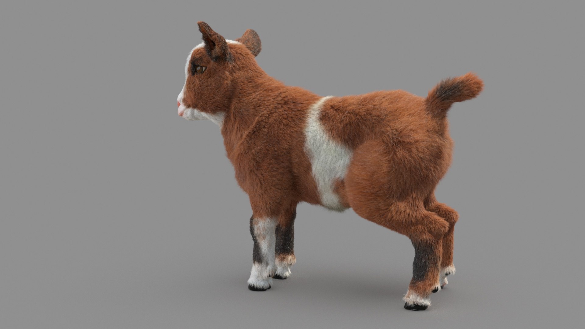Red Baby Goat model - TurboSquid 1812567