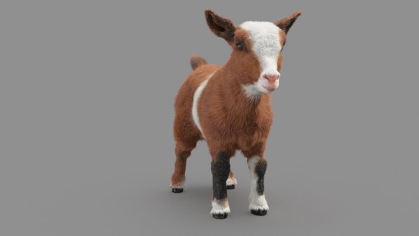 Red Baby Goat model - TurboSquid 1812567
