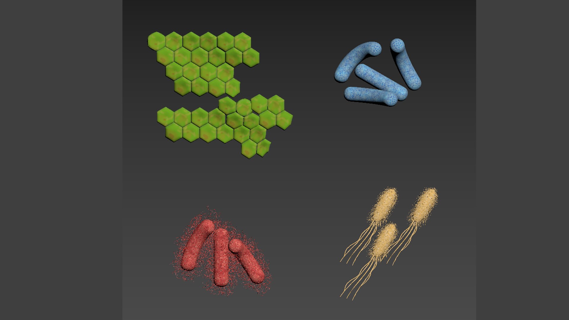 Bacteria Pack 3D - TurboSquid 2172160