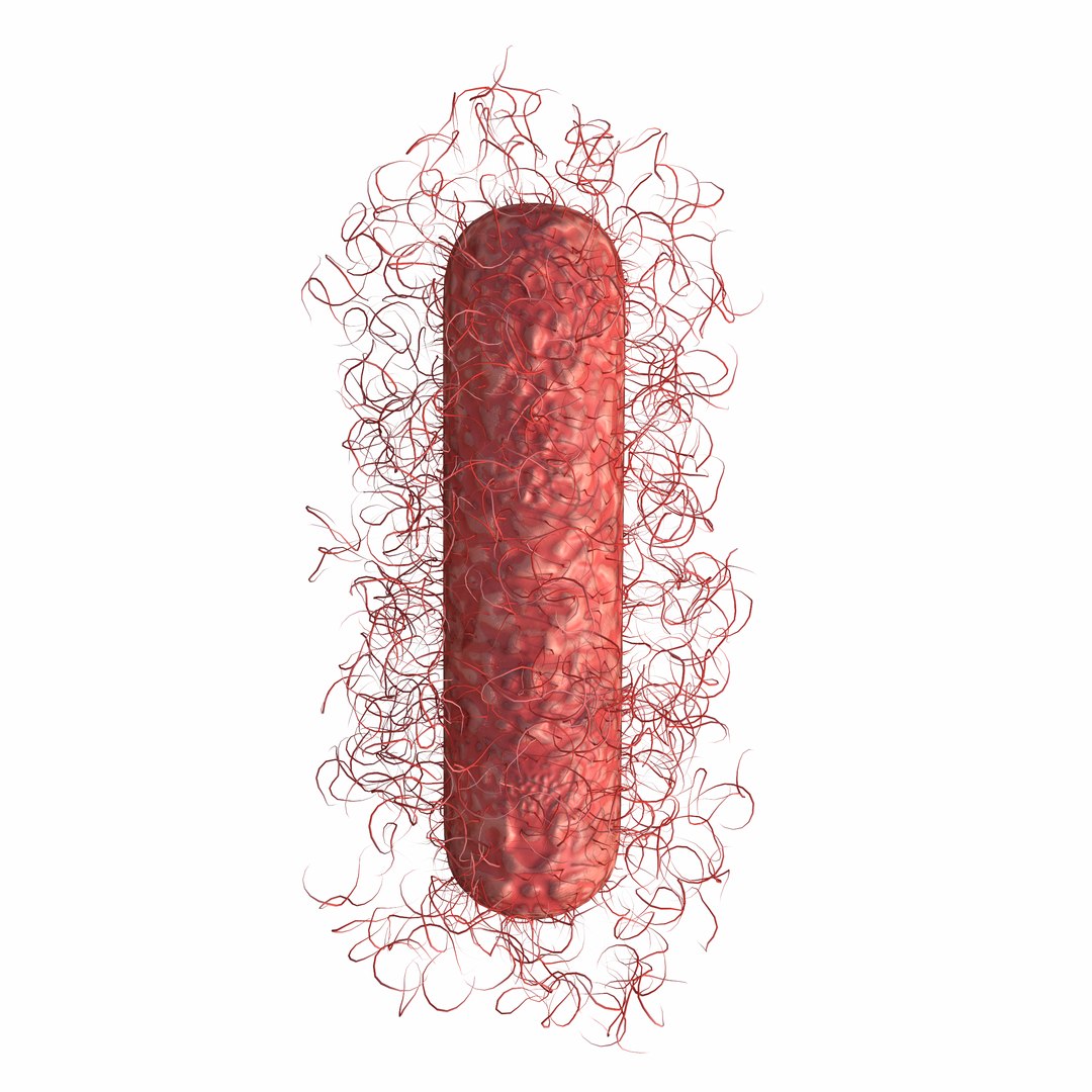 Bacteria Pack 3D - TurboSquid 2172160