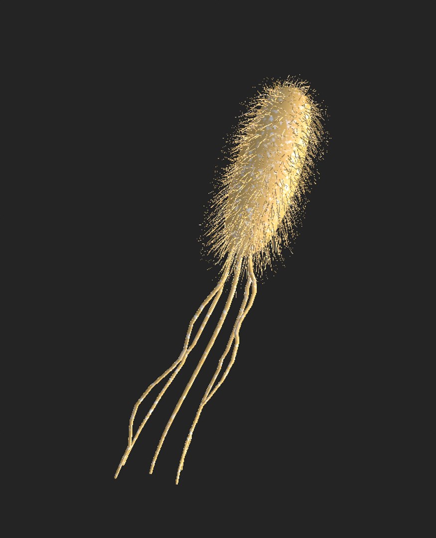 Bacteria Pack 3D - TurboSquid 2172160