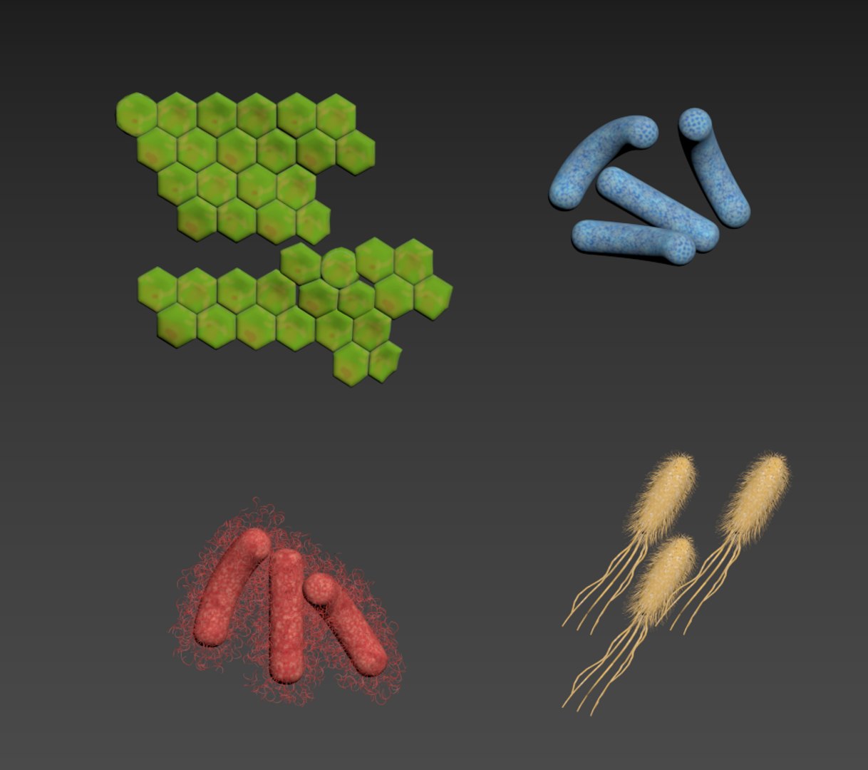 Bacteria Pack 3D - TurboSquid 2172160