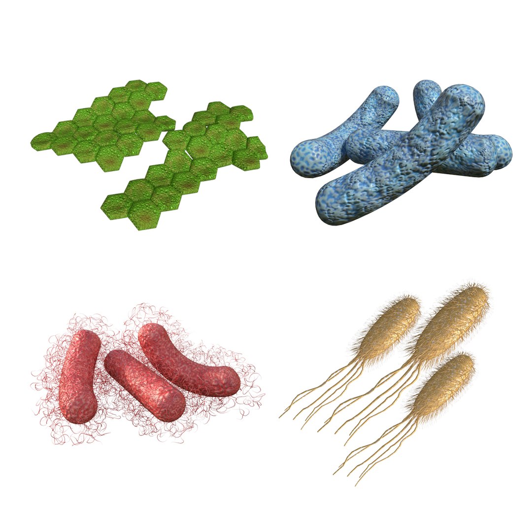 Bacteria Pack 3D - TurboSquid 2172160