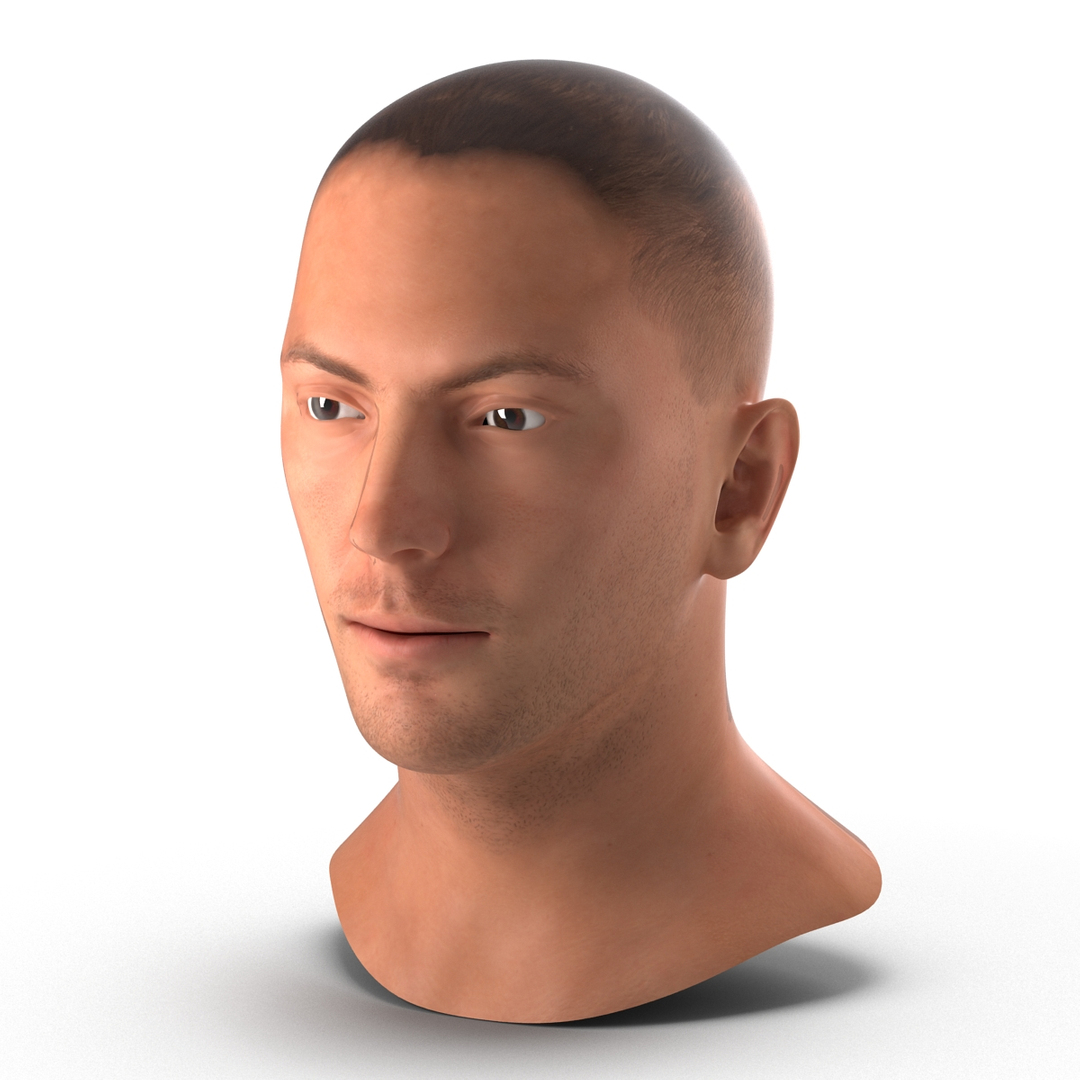3ds Male Head