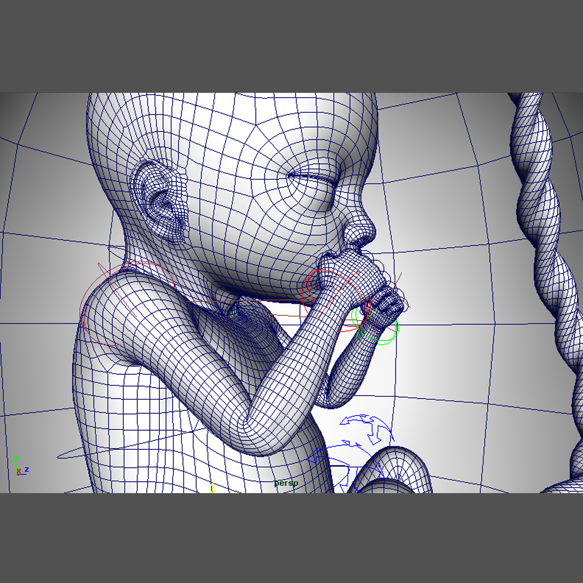rigged fetus 3d obj