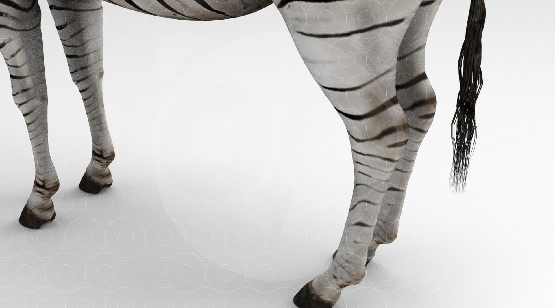 Zebra 3D Model - TurboSquid 2110130