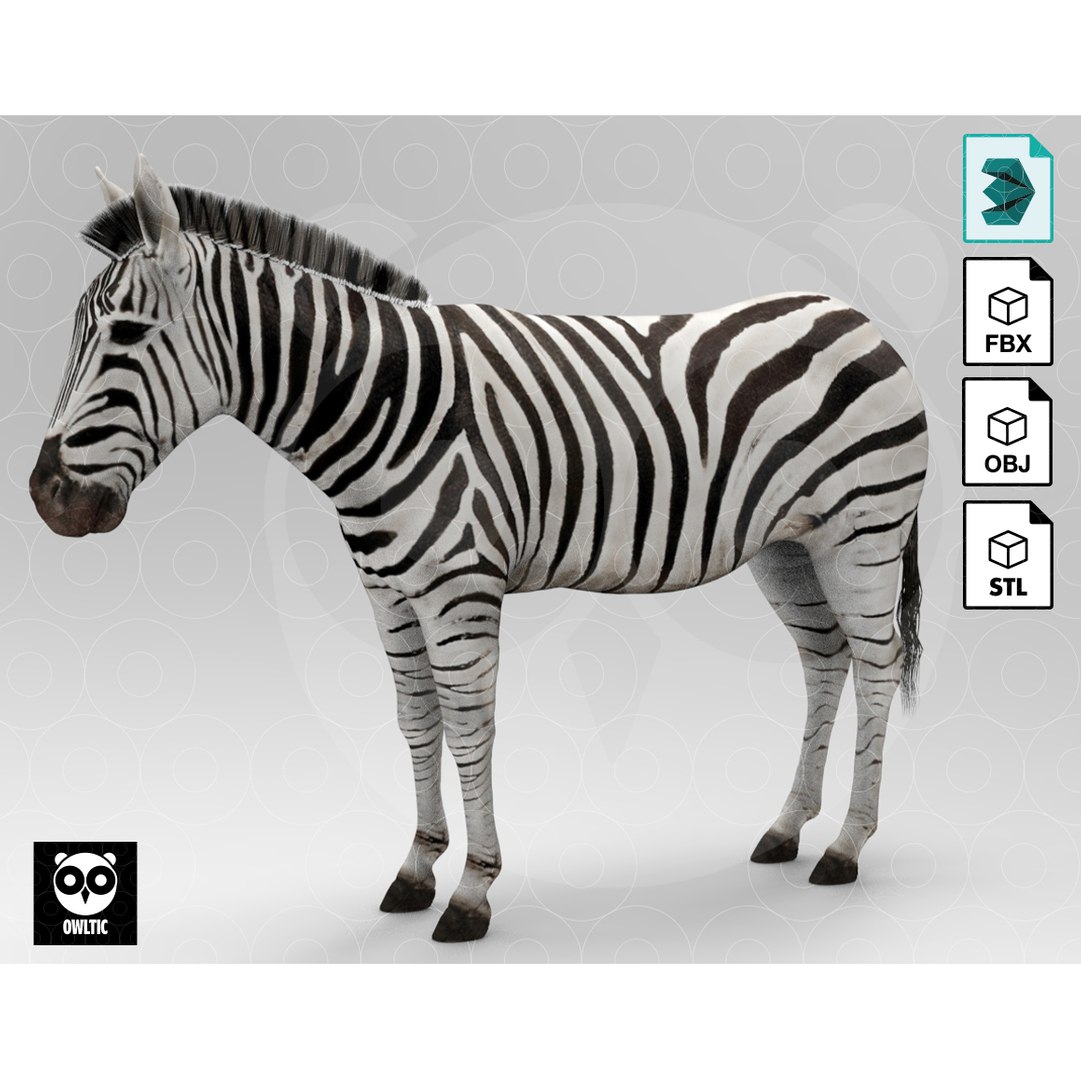 Zebra 3D Model - TurboSquid 2110130